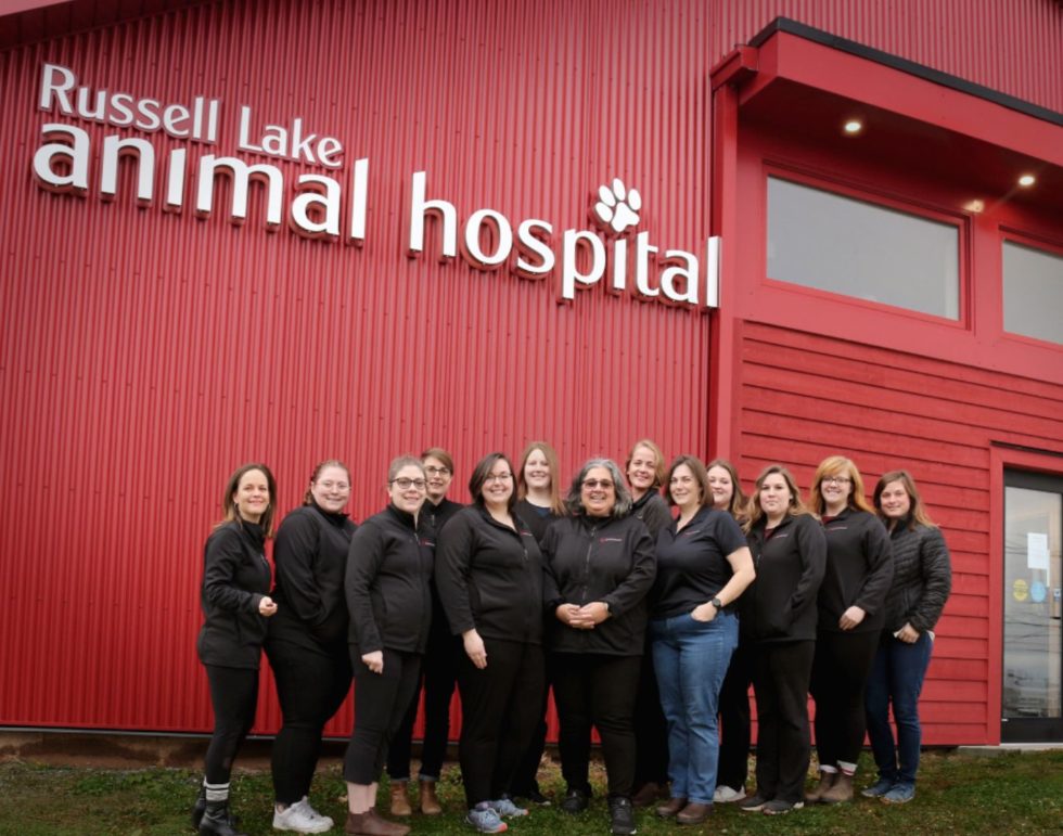 Dartmouth, NS Veterinarian - Russell Lake Animal Hospital